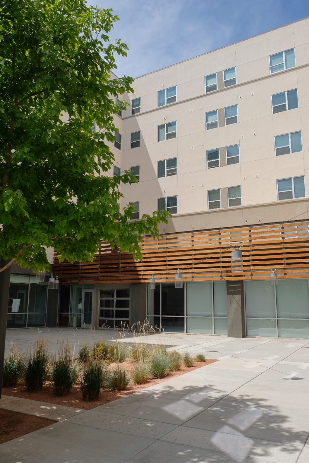 UNM Rainforest Innovations Home Page - UNM Rainforest Innovations