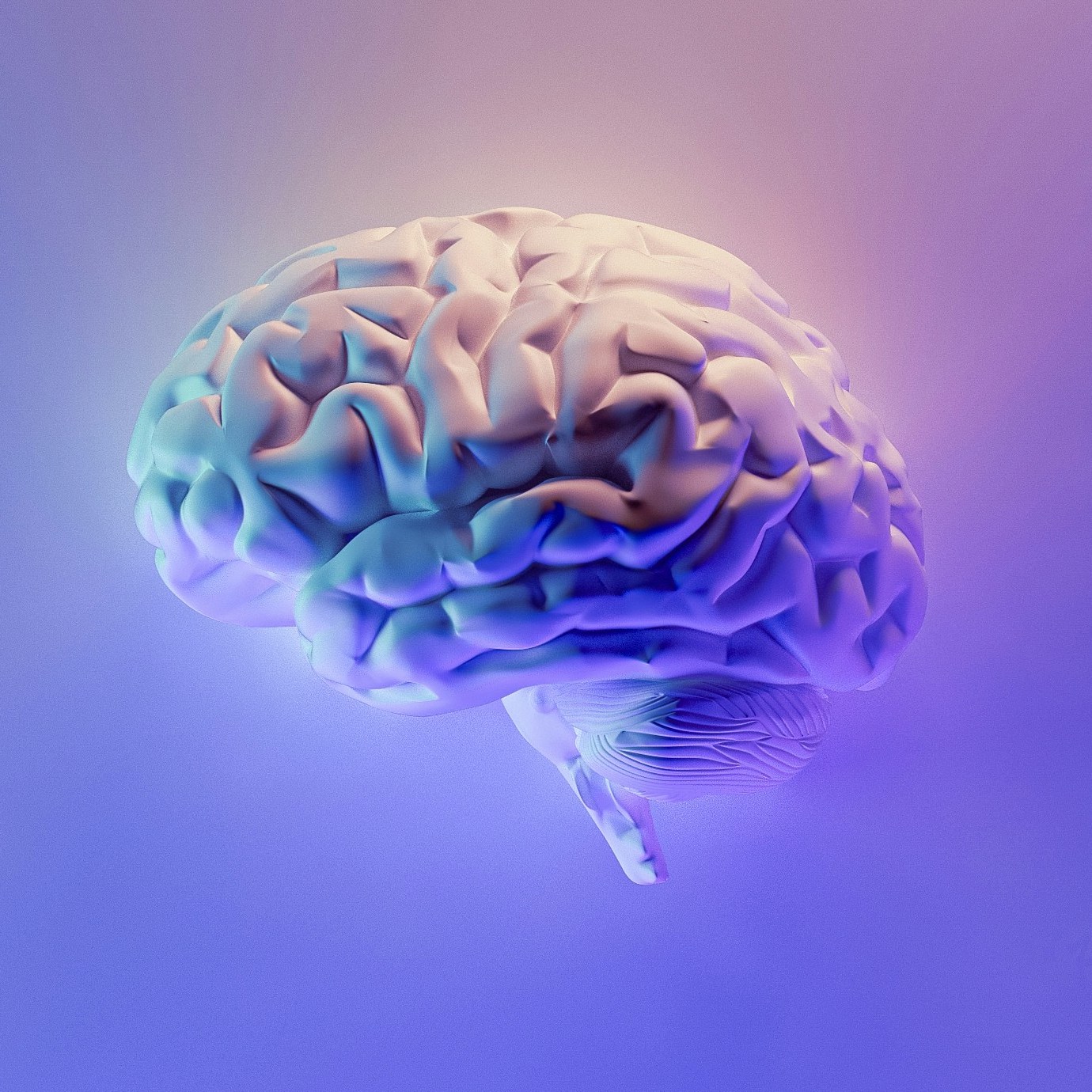 UNM Research Reveals Alarming Levels of Microplastics in the Human ...